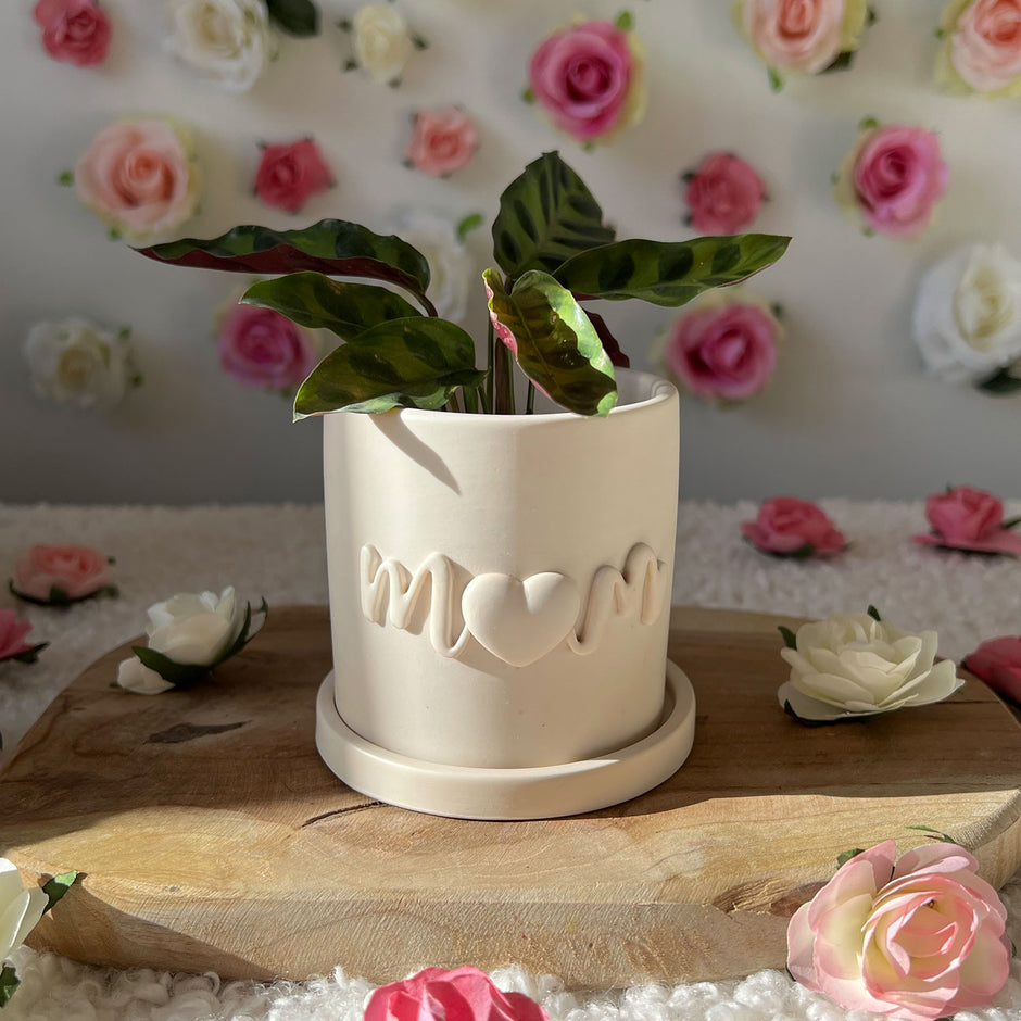 Cache-pots – Maisonsiana