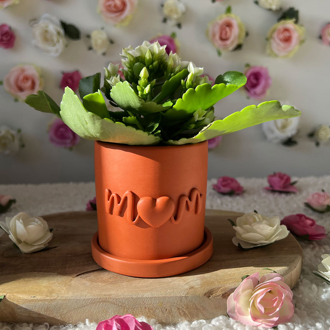 Cache-pots – Maisonsiana